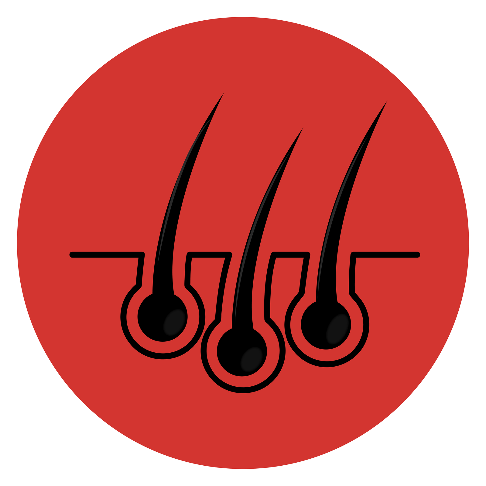 Beard Roots | Premium Beard Care, Grooming, & Styling Products